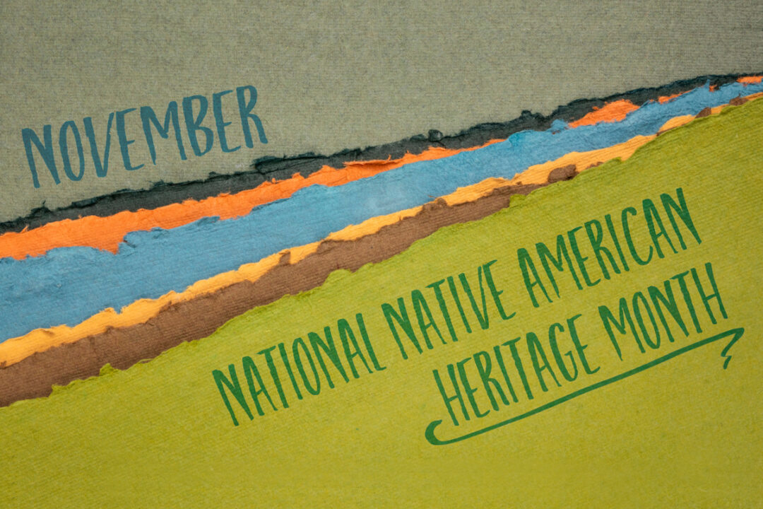 A Brief Introduction to Native American Heritage Month - Vision Academy ...